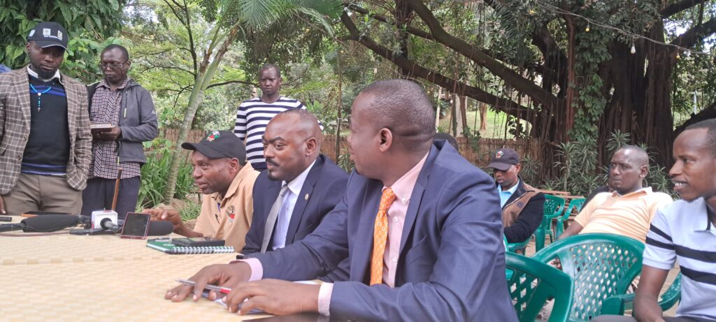 Mama FM - The Voice To Listen To